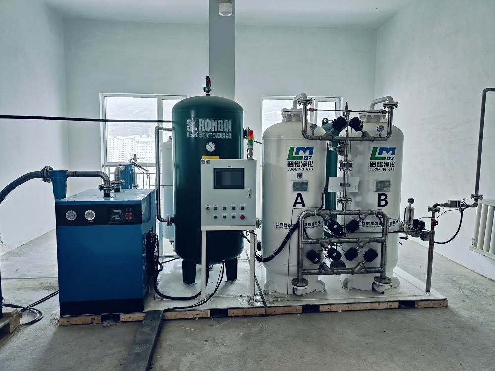 Medical Oxygen Generator for Hospital Use 93% Pure Oxygen Supply with ...